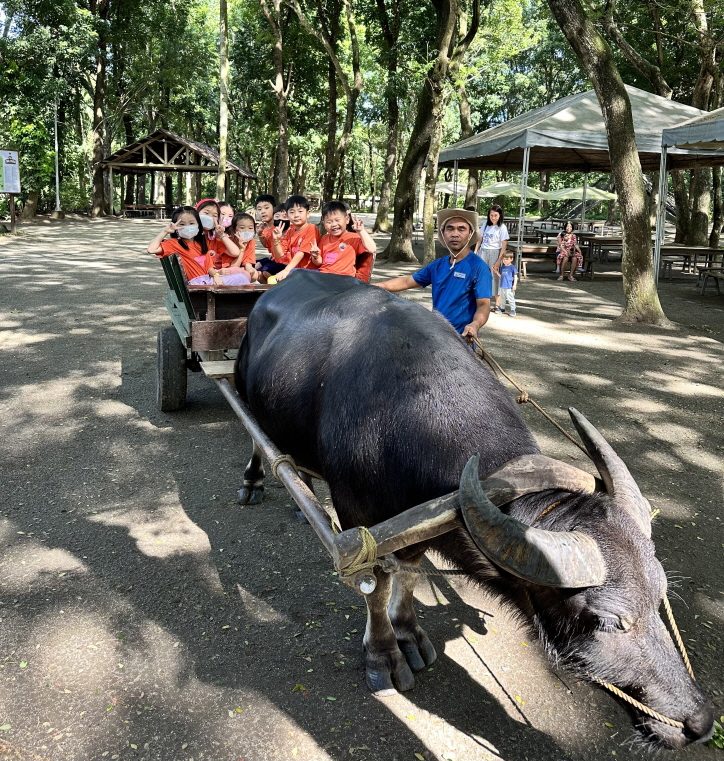 KISP | 2023. 11월 현장체험학습 (Fun Farm)